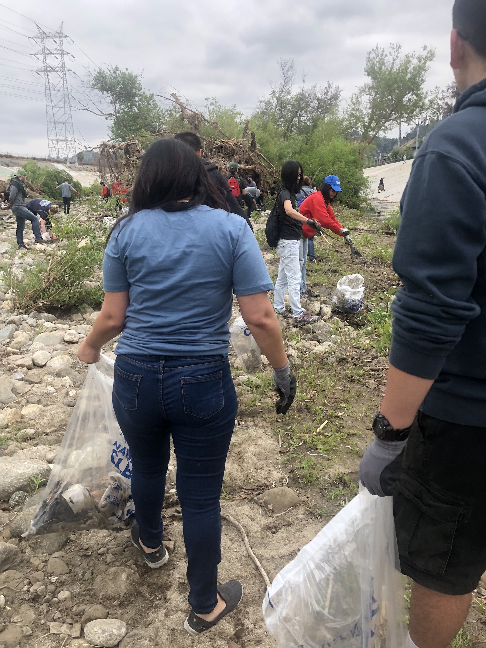 Curacao Employees Volunteer with One Tree Planted for Earth Day ...